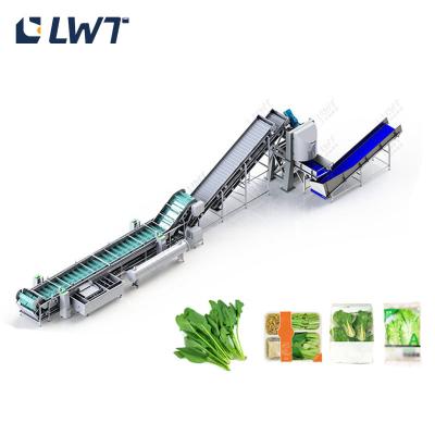 China Frozen Food Production Line Turnkey Solution for Frozen Food Manufacturers for sale