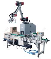 China 30KG Collaborative Palletizer Robot 12PPM Speed for Automated Case Stacking for sale
