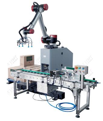 China 30KG Collaborative Palletizer Robot 12PPM Speed for Automated Case Stacking for sale
