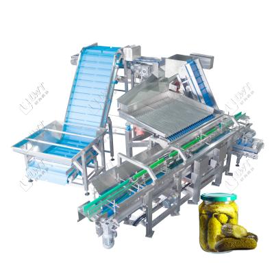 China LWT Automatic Vibration Filling Machine for Cucumber Fruit Canned Food in Glass Jar Tin Can for sale
