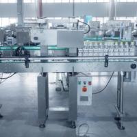 China Automatic Edible Oil Filling Line with Piston Filler 150ml-1L | LWT for sale