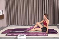 China Commercial Far Infrared Sauna Blanket Fireproof 3 Zone 110-240V for sale