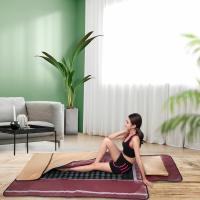 China Gold Far Infrared Sauna Blanket 3 Zone 600W with 180 Bian Stones for Home Wellness Therapy 25-80°C for sale