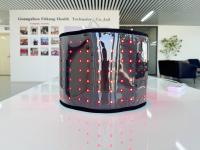 China 110-240V Red Light Therapy Belt 140pcs LEDs 660nm 850nm Far Infrared for Pain Relief for sale