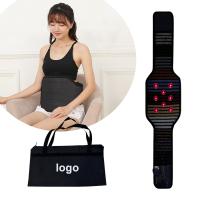 China PEMF Therapy Belt with 11 Energy Stones and 8 Photon Lights - 80W Power for Waist Application for sale