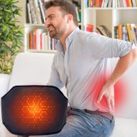 China PEMF Therapy Belt with Amethyst Crystals - 80W Power, 1-30Hz Frequency Range for Muscle Recovery for sale
