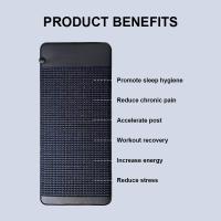 China 110V 240V PEMF Sauna Mattress with 1 Heating Zone for Cellular Repair Support 190x80cm for sale