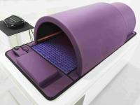 China European Market Popular Logo Customized Temperature Adjusted Heating Sauna Carbin for sale