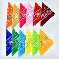 China Custom Logo Polyester Square Bandana 54cm Paisley Headwear Scarf for Outdoor Activities for sale