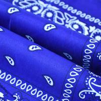 China Custom Logo Polyester Square Bandana 54cm Paisley Headwear Scarf for Outdoor Activities for sale