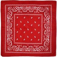 China Custom Logo Polyester Square Bandana 54cm Paisley Headwear Scarf for Outdoor Activities for sale
