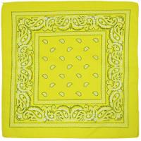 China Custom Logo Polyester Square Bandana 54cm Paisley Headwear Scarf for Outdoor Activities for sale