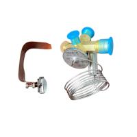 China SANHUA Thermostatic Expansion Valve (TXV/TEV) with Precise Refrigerant Flow Control to Improve System Efficiency and Protect the Compressor for sale
