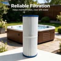 China C-4950 Hot Tub Pleated Filter Element Swim Spa Water Purification High Efficiency Lightweight OEM Supplier Custom Wholesale Pool for sale