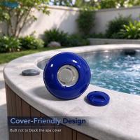 China Eco Floating Spa Dispenser Adjustable Release for Hot Tub Cover Friendly Water Care Accessory Wholesale Factory OEM for sale