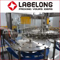 China 5000BPH Automatic Liquid Bottle Filling Machine for sale