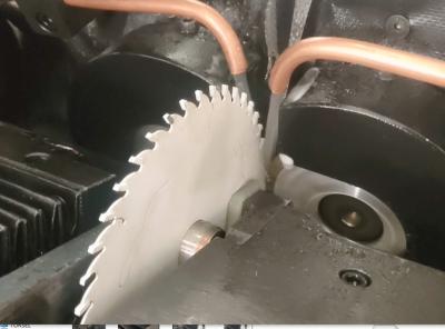 China TORSEL Full Automatic Circular Saw Grinding Machine For Woodworking Industries for sale