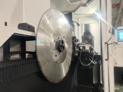 China TORSEL High Accuracy Automatic Saw Blade Sharpener Dual Side Grinding Machine for sale