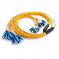 China Single Mode Breakout Sc Fiber Optic Patch Cord 12 Cores Duplex OS2 for sale