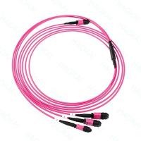 China LC Optical Fiber Patch Cord 12core MPO Fan Out Om4 Fiber Patch Cables for sale