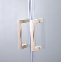 China Stainless Sliding 6mm Tempered Glass Shower Door 1200X2000mm for sale