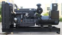 China 300kw Shanghai Diesel Generator with IP23 Protection Class and Budget-Friendly for sale