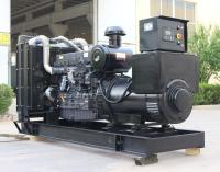 China 300kw Shanghai Diesel Generator with IP23 Protection Class and Budget-Friendly for sale