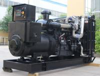 China 300kw Shanghai Diesel Generator with IP23 Protection Class and Budget-Friendly for sale