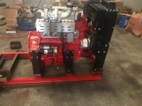 China 1500rpm 1800rpm 2000rpm 2200rpm 3000rpm Stationary Diesel Engine for Water Pump Driving for sale
