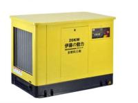 China 20KW LPG Natural Gas Gasoline Generator with Electric Starting and 380V Rated Voltage for sale