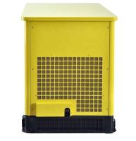 China 20KW LPG Natural Gas Gasoline Generator with Electric Starting and 380V Rated Voltage for sale
