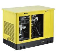 China 20KW LPG Natural Gas Gasoline Generator with Electric Starting and 380V Rated Voltage for sale