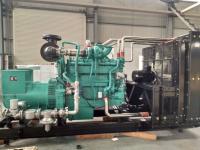 China Power Generation Made Easy with Cummins 200KW 250KVA Natural Gas Biogas Generator Set for sale