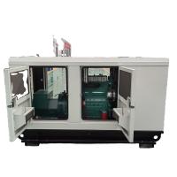 China 36A Rated Current 20KW 25KVA Natural Gas Generator Set with CE ISO CCS Certification for sale