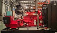 China CHP Biogas Lpg 125kVA Cummins 100kW Natural Gas Generator with Electrical Start for sale