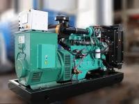 China 125KVA 100KW Cummins 6CTA8.3-G1 Gas Generator with 50/60hz Frequency in Russian Market for sale