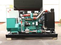 China Cummins 300KW 375kva LPG/Biogas/Natural Gas Generator with English Control System for sale