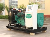 China 230/400V 37.5kVA 3 Phase Super Silent Electric Water Cooled Cummins Gas Generator Set for sale