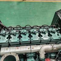China Natural Gas Whole Home Generator Power Plant 50 kva 100kw 500kw 1mw with Remote Start for sale