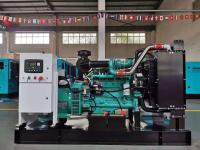 China 250kw Silent Diesel Generator with Cummins and 100% Pure Copper Brushless Alternator for sale