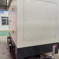 China 200kw Natural Gas Biogas LPG Biomass Generator with Water Cooled Cooling System Design for sale