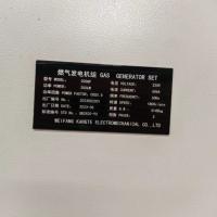 China 200kw Natural Gas Biogas LPG Biomass Generator with Water Cooled Cooling System Design for sale