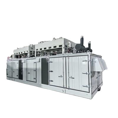 China 1MW 2MW Natural Gas Generator Single Phase 3 Phase Biogas Good Genset IP23 Protection Class for sale