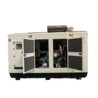 China Best 312.5KVA Biogas CNG Power Genset Plant with Water Cooled Method and Remote Start for sale