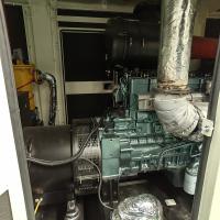 China Best 312.5KVA Biogas CNG Power Genset Plant with Water Cooled Method and Remote Start for sale