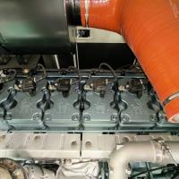China Best 312.5KVA Biogas CNG Power Genset Plant with Water Cooled Method and Remote Start for sale