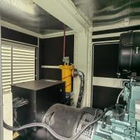 China Best 312.5KVA Biogas CNG Power Genset Plant with Water Cooled Method and Remote Start for sale