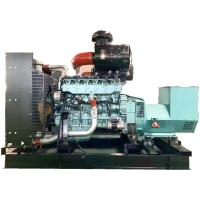 China Water Cooled Method and IP23 Protection Class 250kw Methane Gas Generator for Biomass for sale