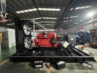 China Water Cooled Method 200kw 250kw 3 Phase Gas Generator Set for Natural Gas Biogas LPG for sale