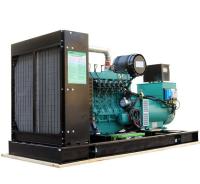 China Eco-Friendly 200KW Natural Gas Biogas Generator Set for Sustainable Energy Solutions for sale